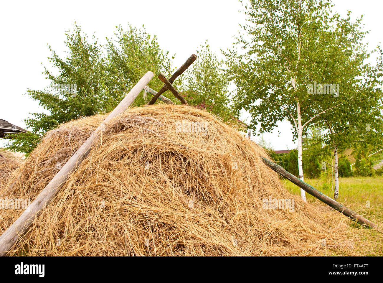 dry haystack on a meadow Stock Photo - Alamy