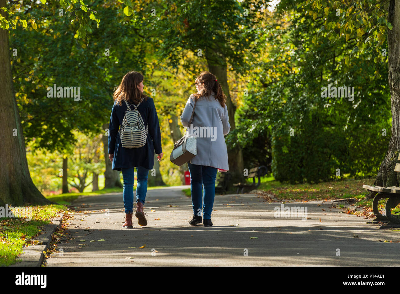 Valley Gardens, Harrogate, Yorkshire, England - rear view of 2 young ...