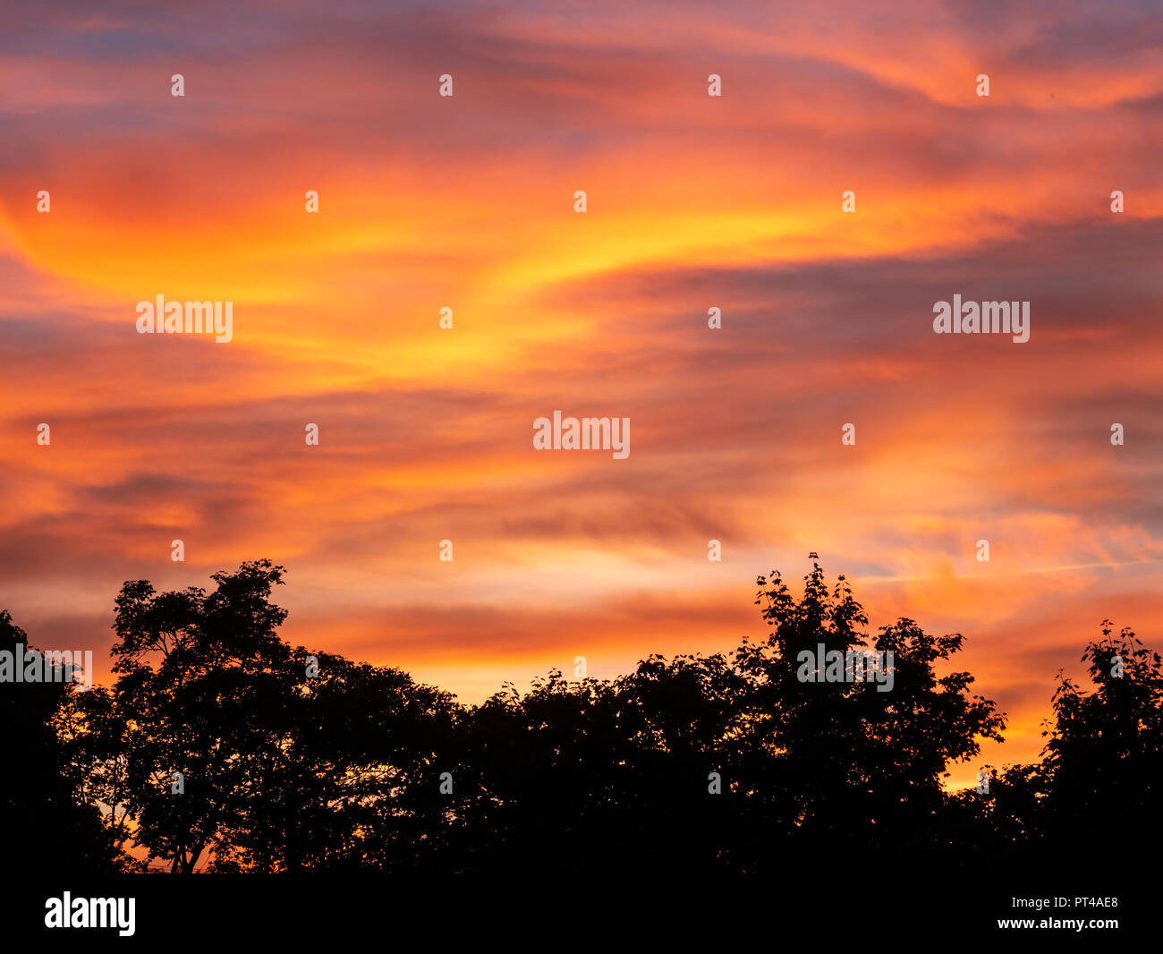 Silhouette trees during sunset time hi-res stock photography and images ...