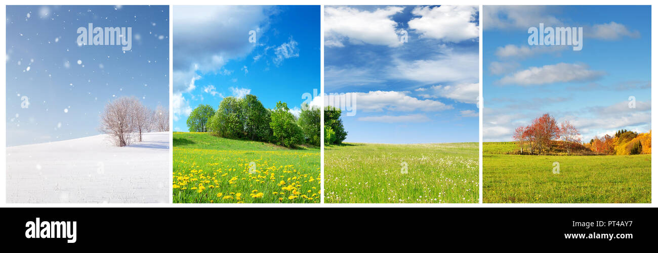 Beautiful trees in four seasons landscape on the field Stock Photo - Alamy