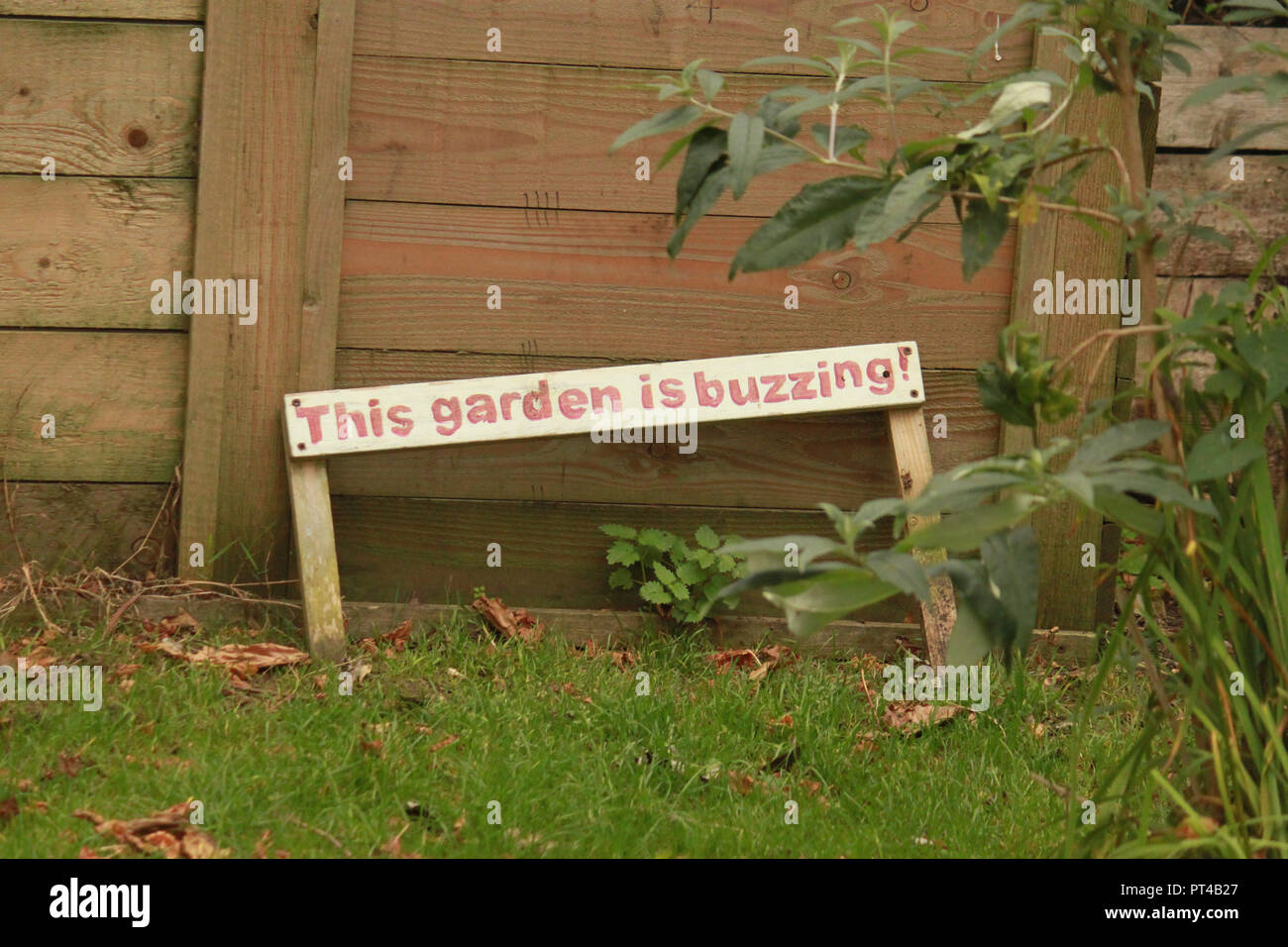 Buzzing hi-res stock photography and images - Alamy