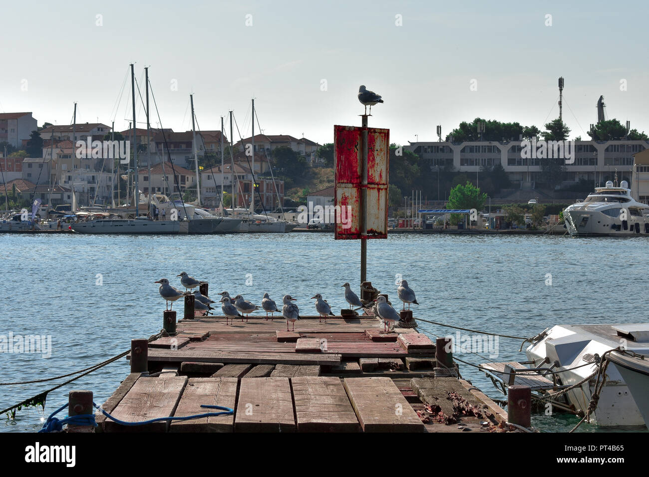 Leader by sea hi-res stock photography and images - Alamy