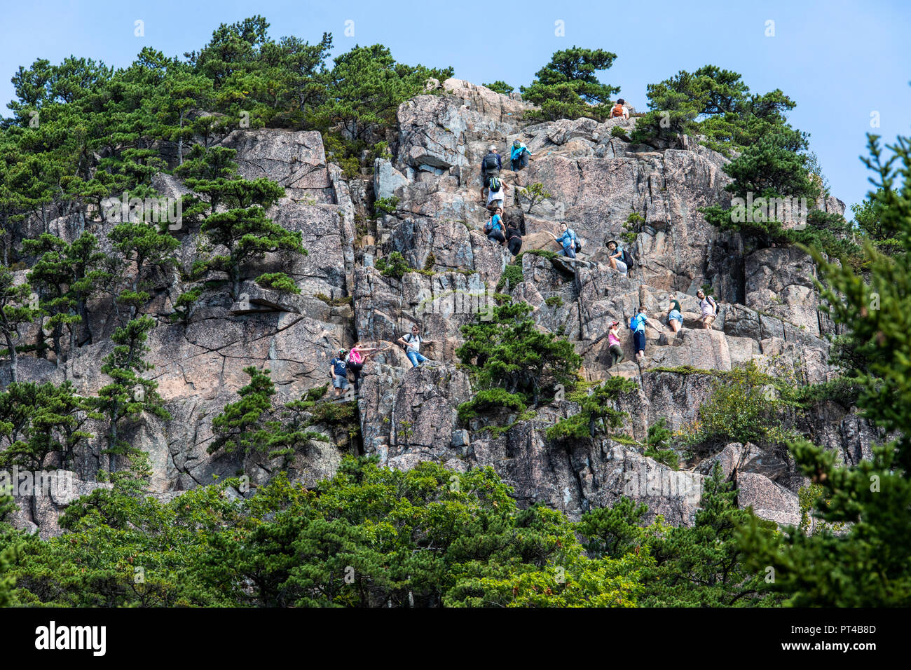 Beehive Cliffs Trail, Beehive Mountain hike, Acadia National Park ...