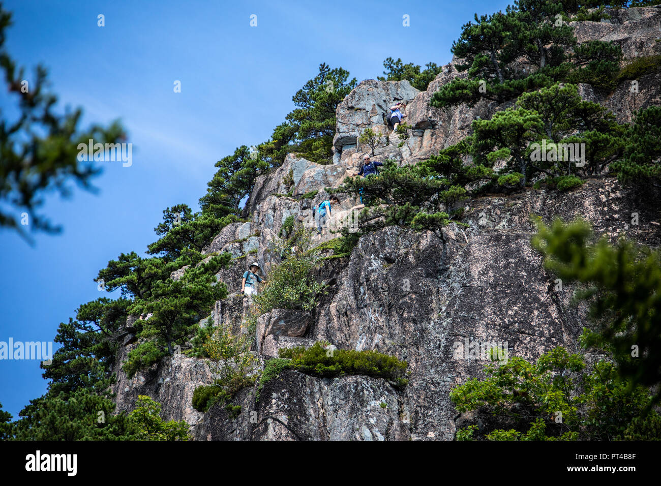 Beehive Cliffs Trail, Beehive Mountain hike, Acadia National Park ...