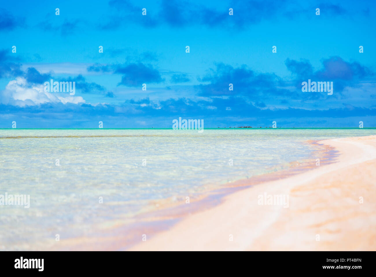 in polynesia rangiroa the pink sands of the coastline like paradise ...