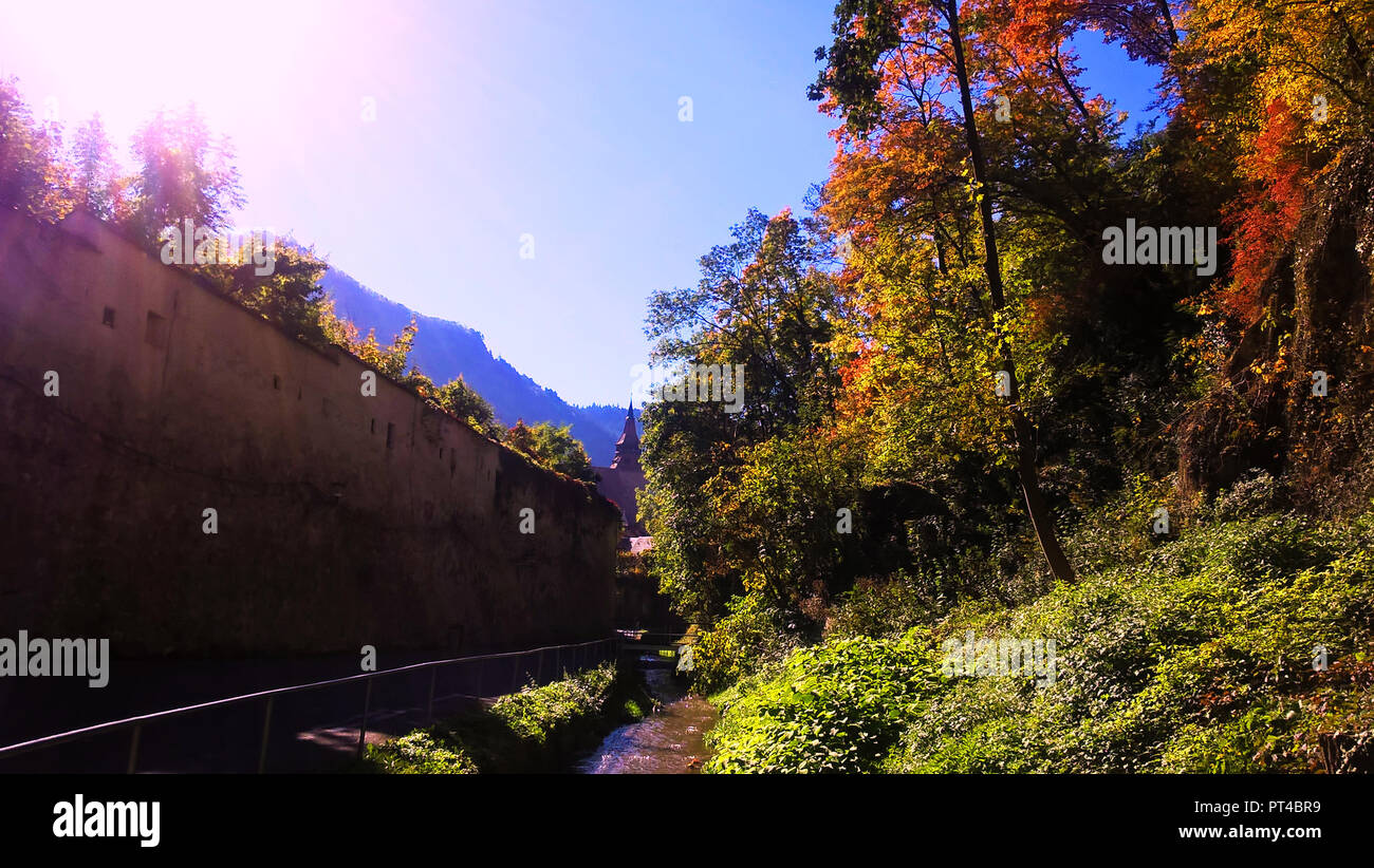Trees with a beautiful fall color palette in the sunlight Stock Photo ...