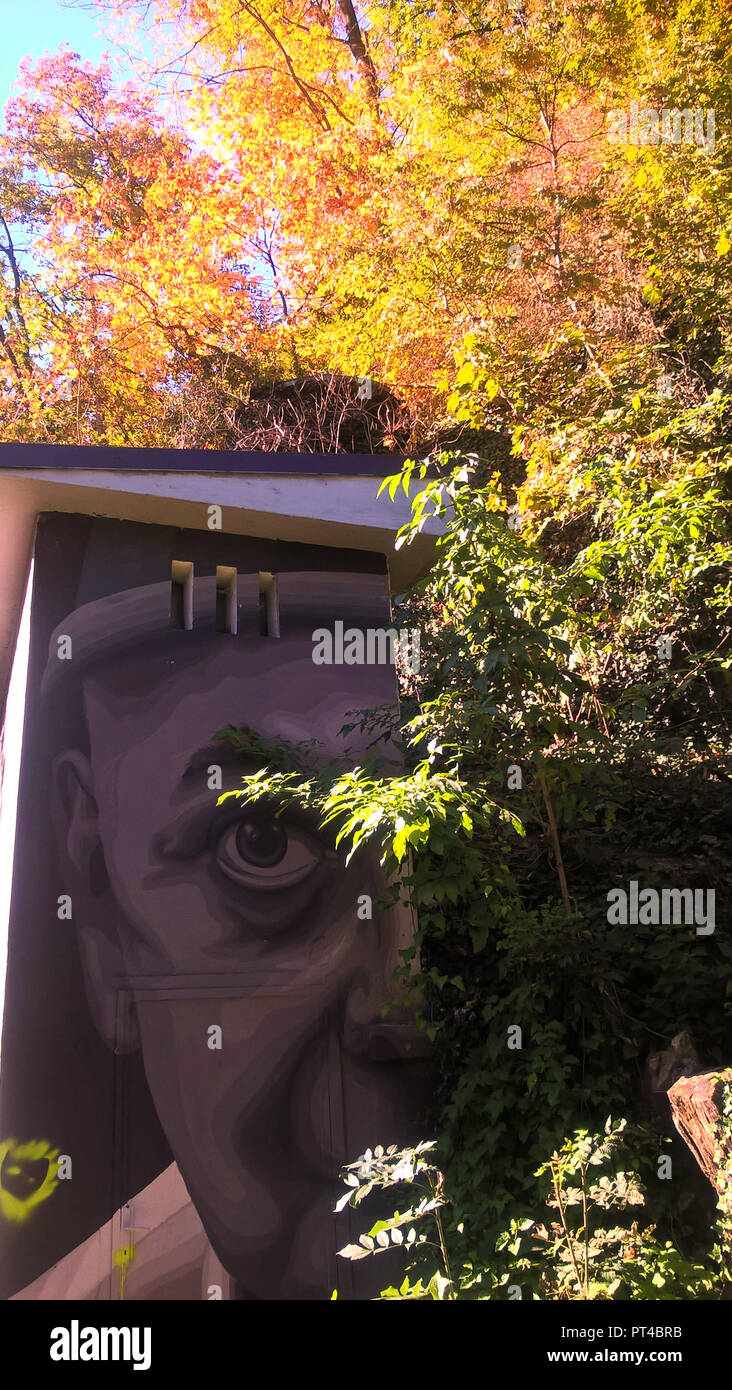 Graffiti image surrounded by fall trees. Graffiti image surrounded by ...