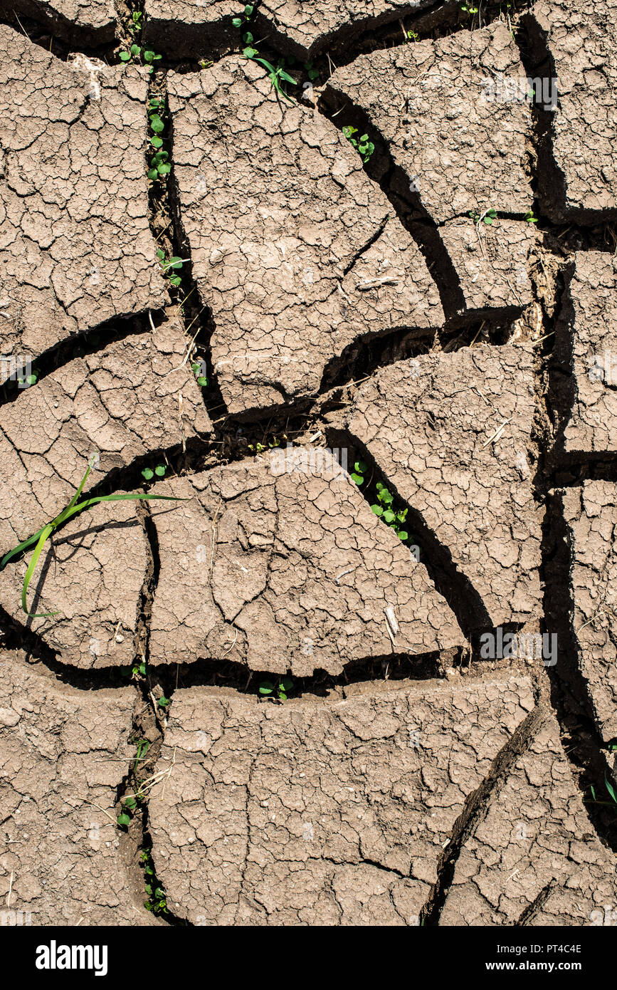 Cracked soil background Stock Photo - Alamy