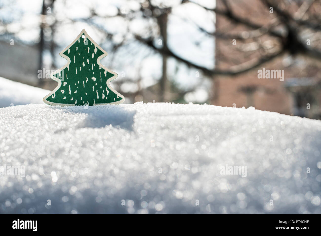 Wooden green christmas tree on snow. Sun light Stock Photo - Alamy