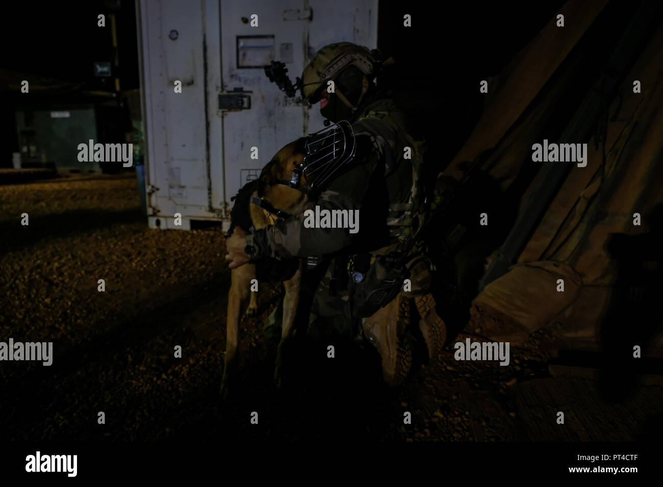French desert commando hi-res stock photography and images - Alamy