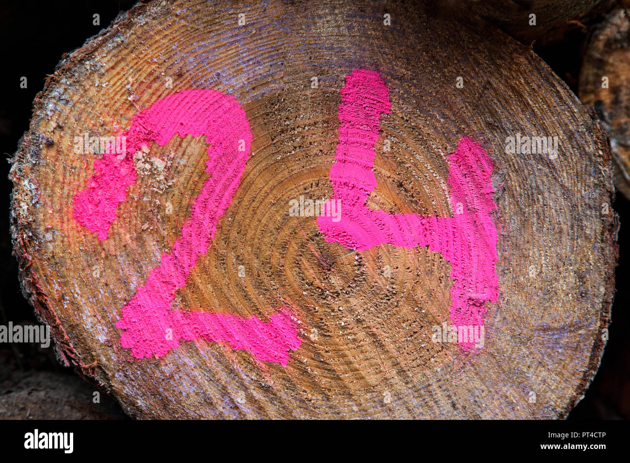 Number twenty four hi-res stock photography and images - Alamy