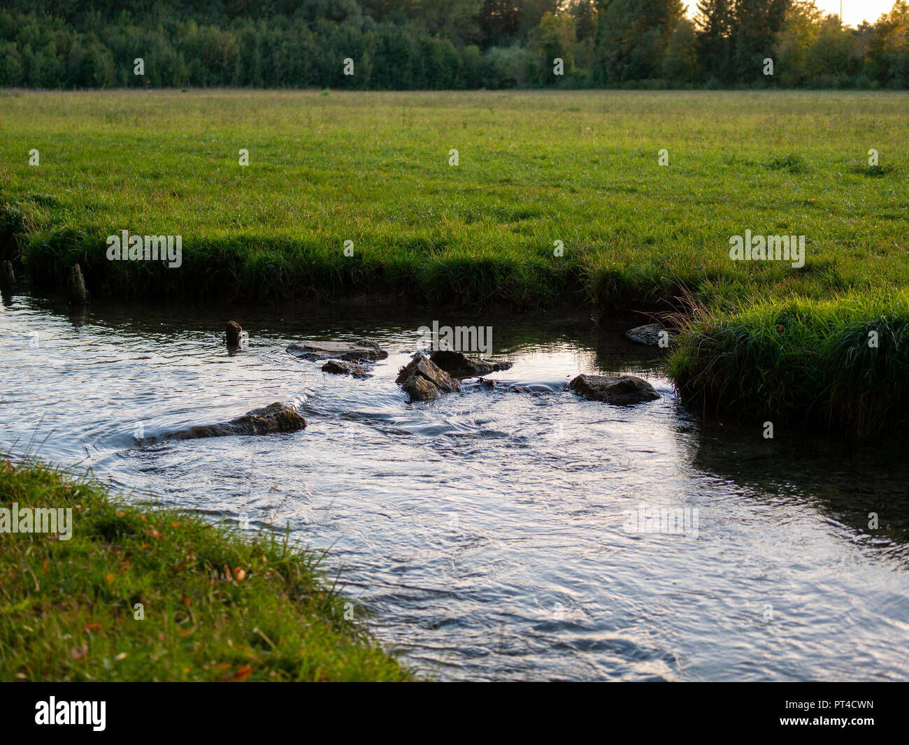 Image of creek and meadow during dawn time Stock Photo - Alamy