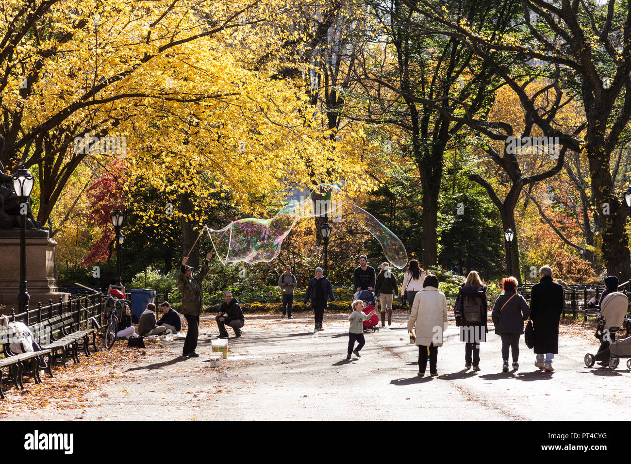 Oaks in fall hi-res stock photography and images - Alamy