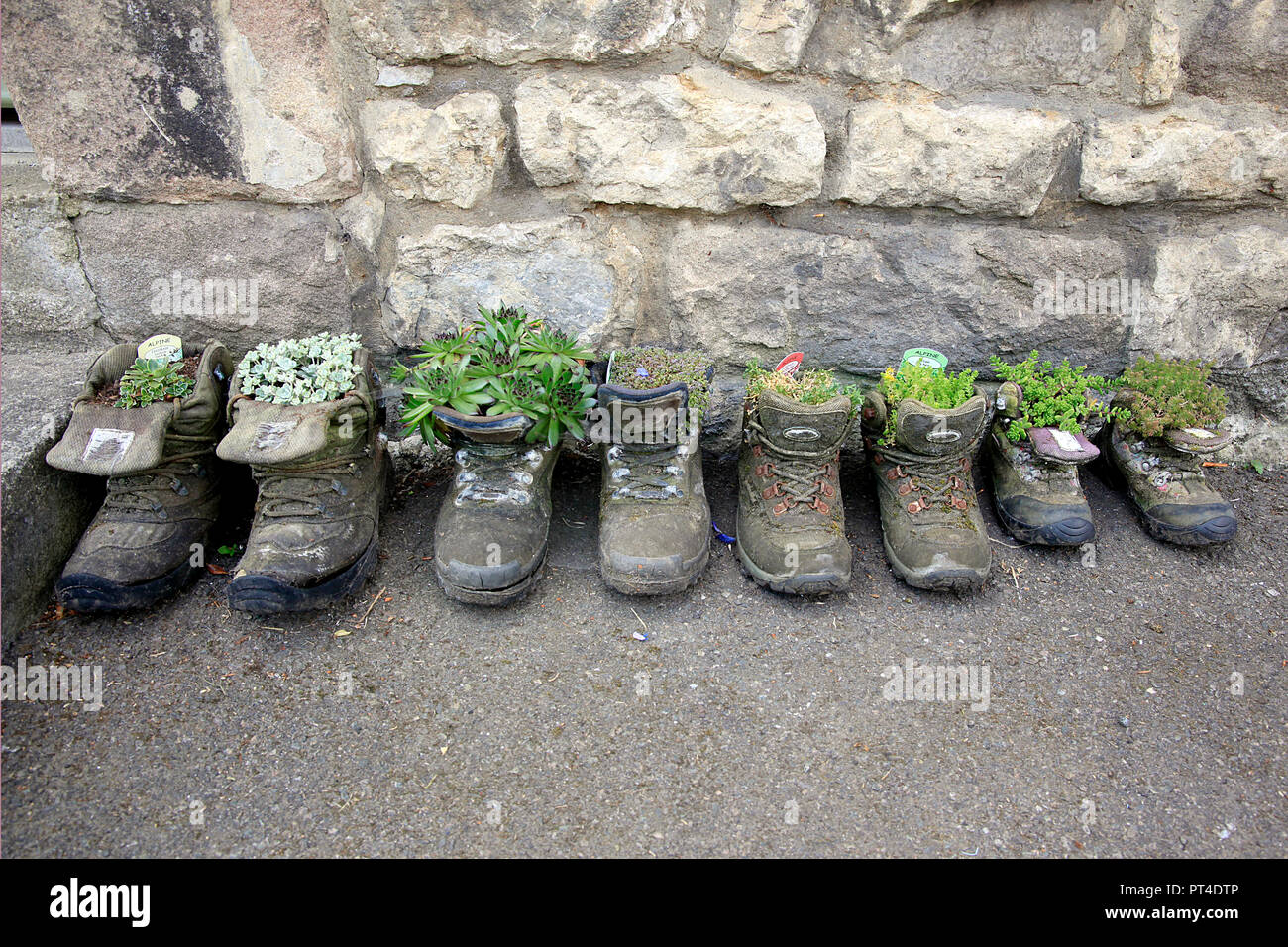 Old Boot Planters Stock Photo - Alamy