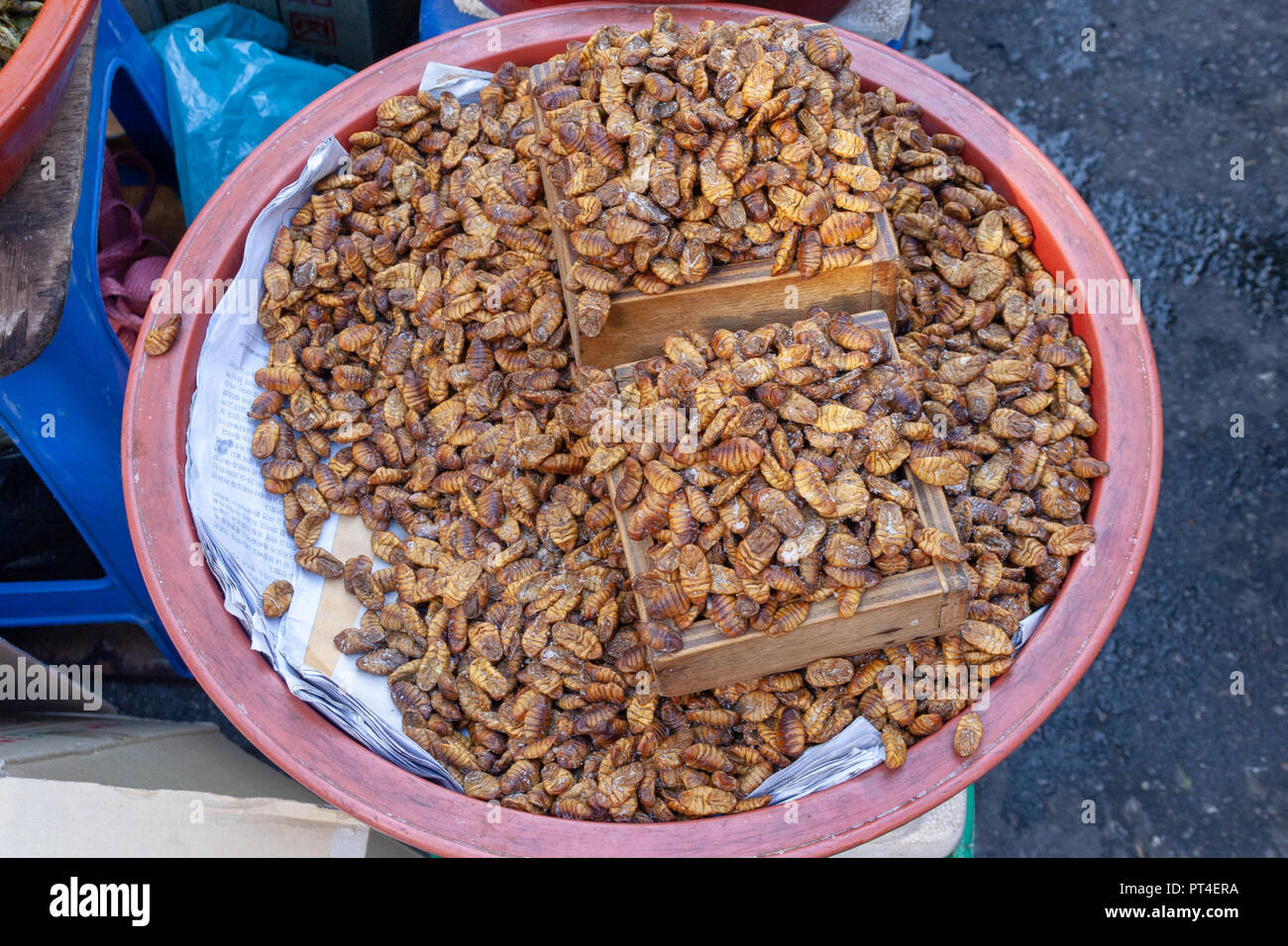 Beondegi, silkworm pupae, sold in the street in Seoul, South Korea ...