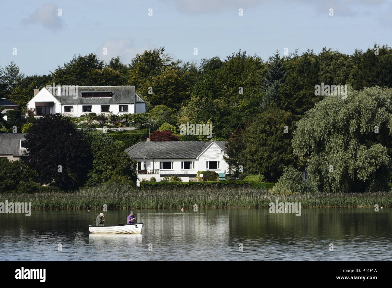 Scotland out doors birds Stock Photo - Alamy