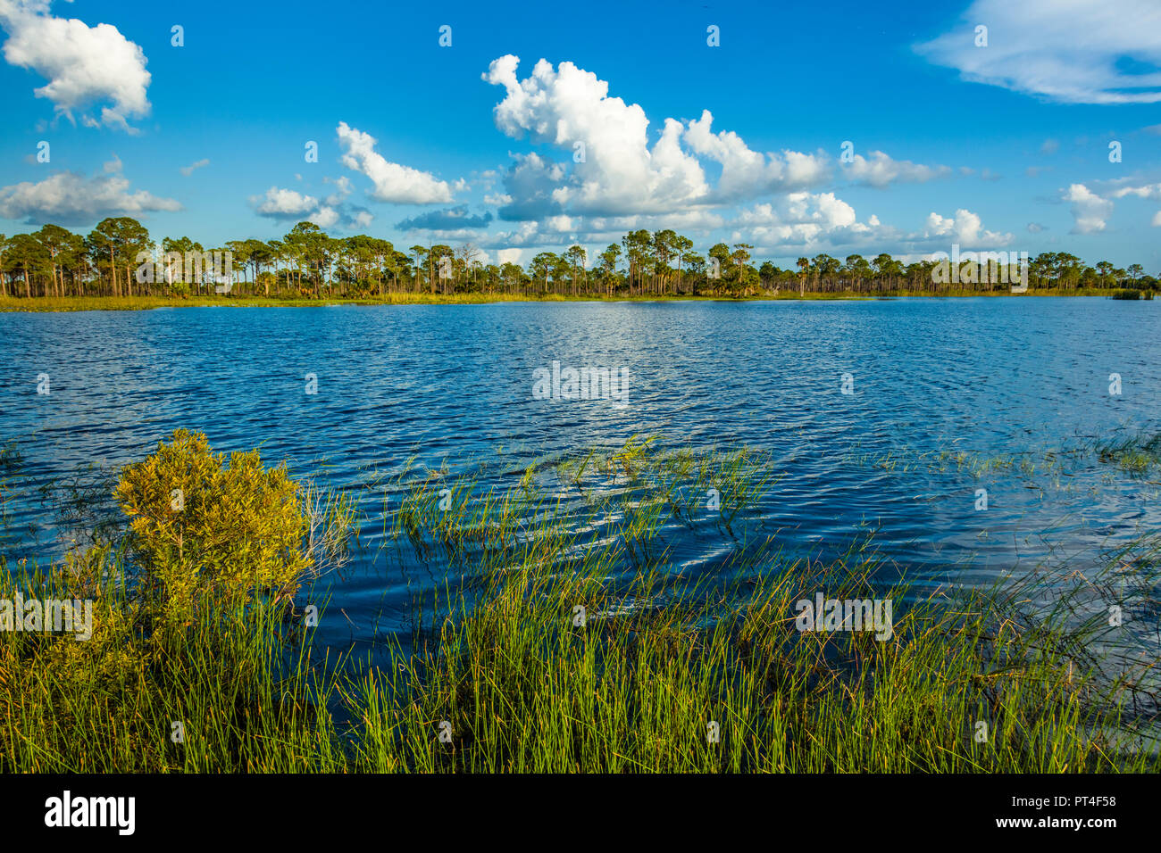 Lake in Fred C. Babcock/Cecil M. Webb Wildlife Management Area in Punta ...
