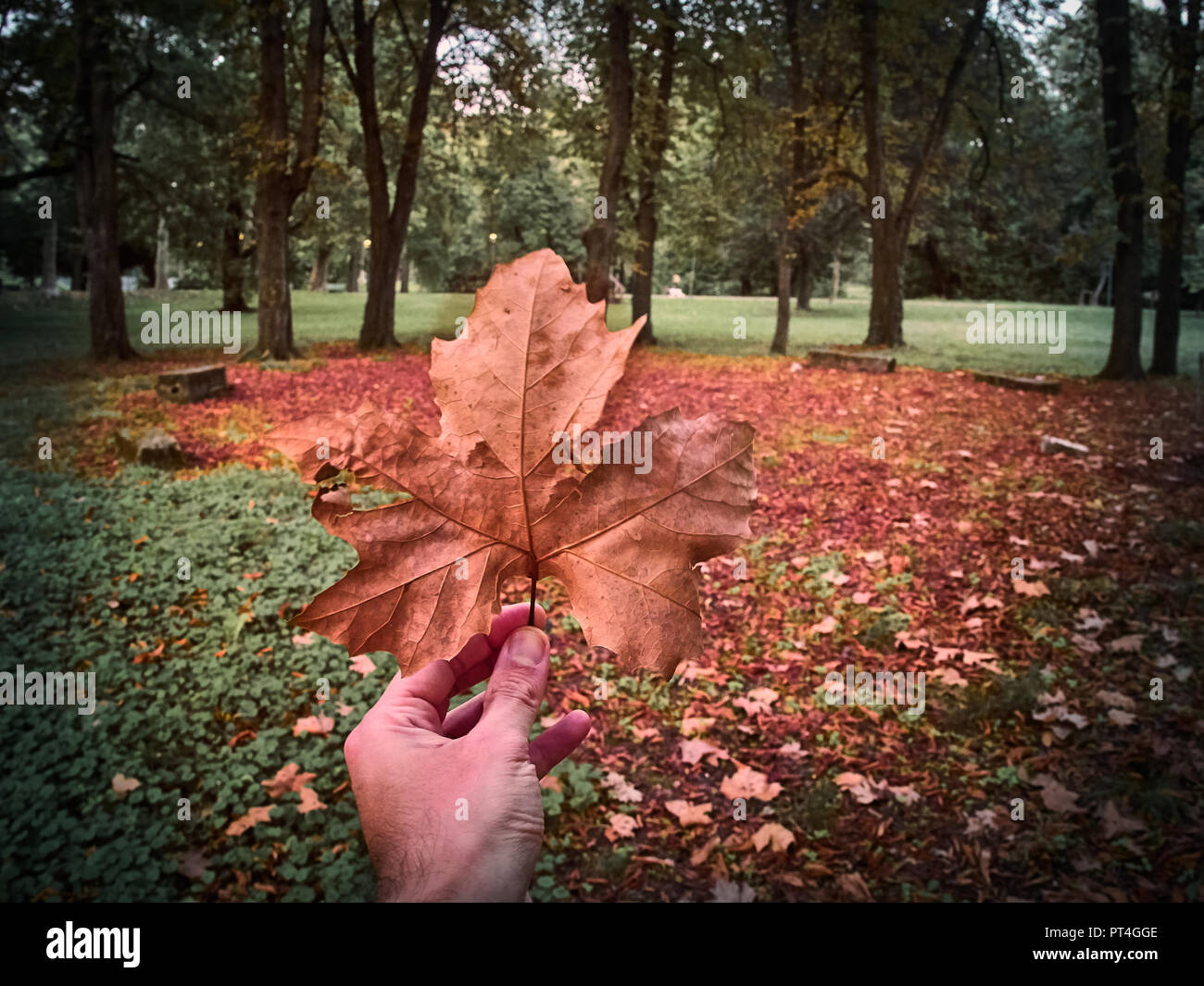 Lambro hi-res stock photography and images - Alamy