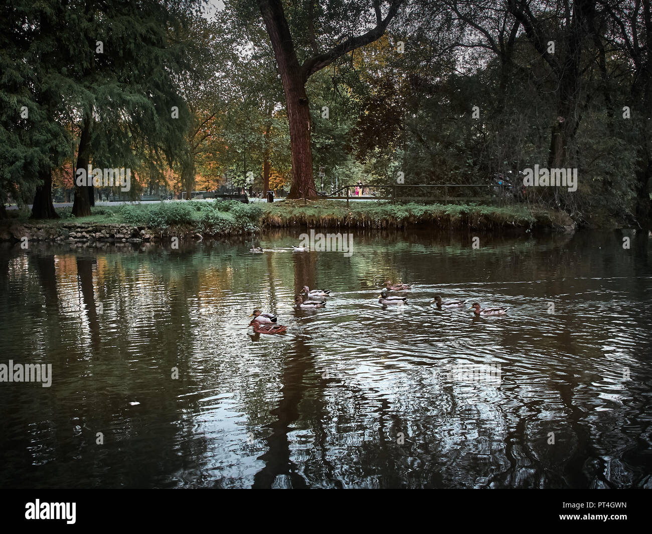 Lambro hi-res stock photography and images - Alamy