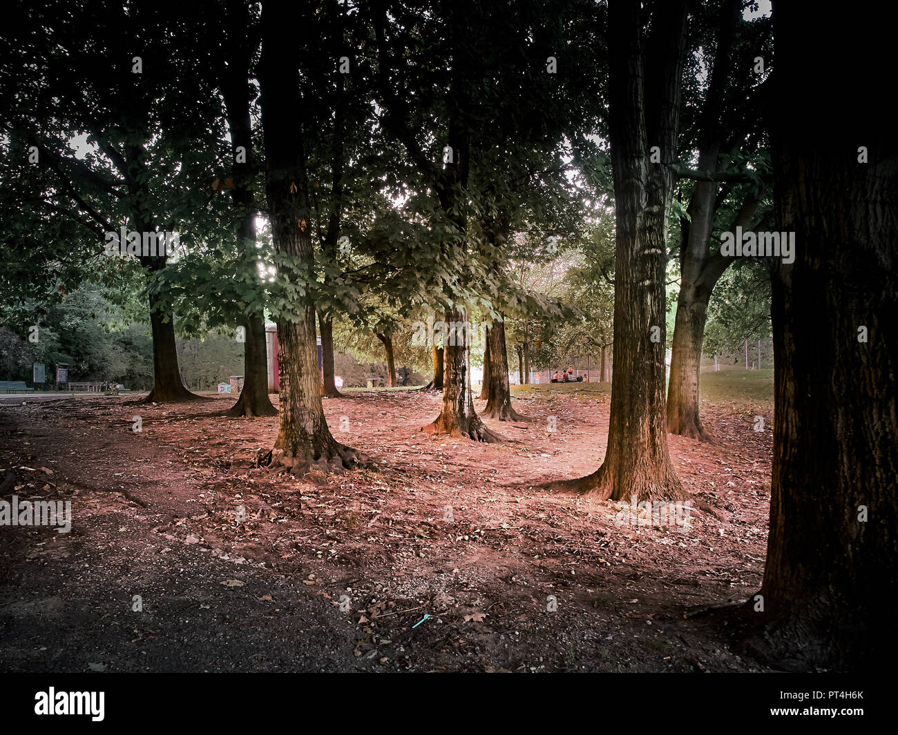 Shot of the Lambro Park in Milan in autumn Stock Photo - Alamy