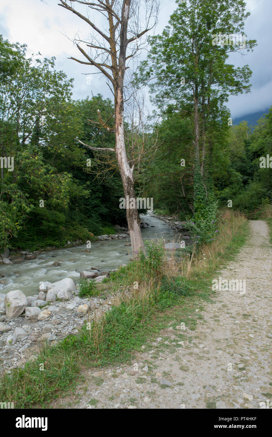 River in the valley of aran next to vielha, Spain Stock Photo - Alamy