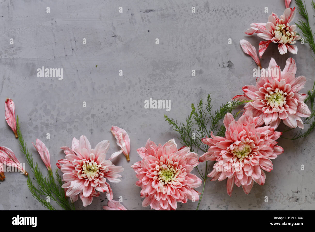autumn flowers composition for decor background Stock Photo - Alamy