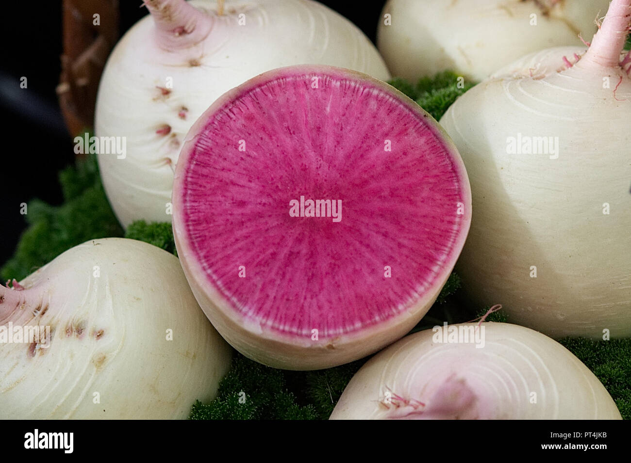 Heirloom chinese daikon radish hi-res stock photography and images - Alamy