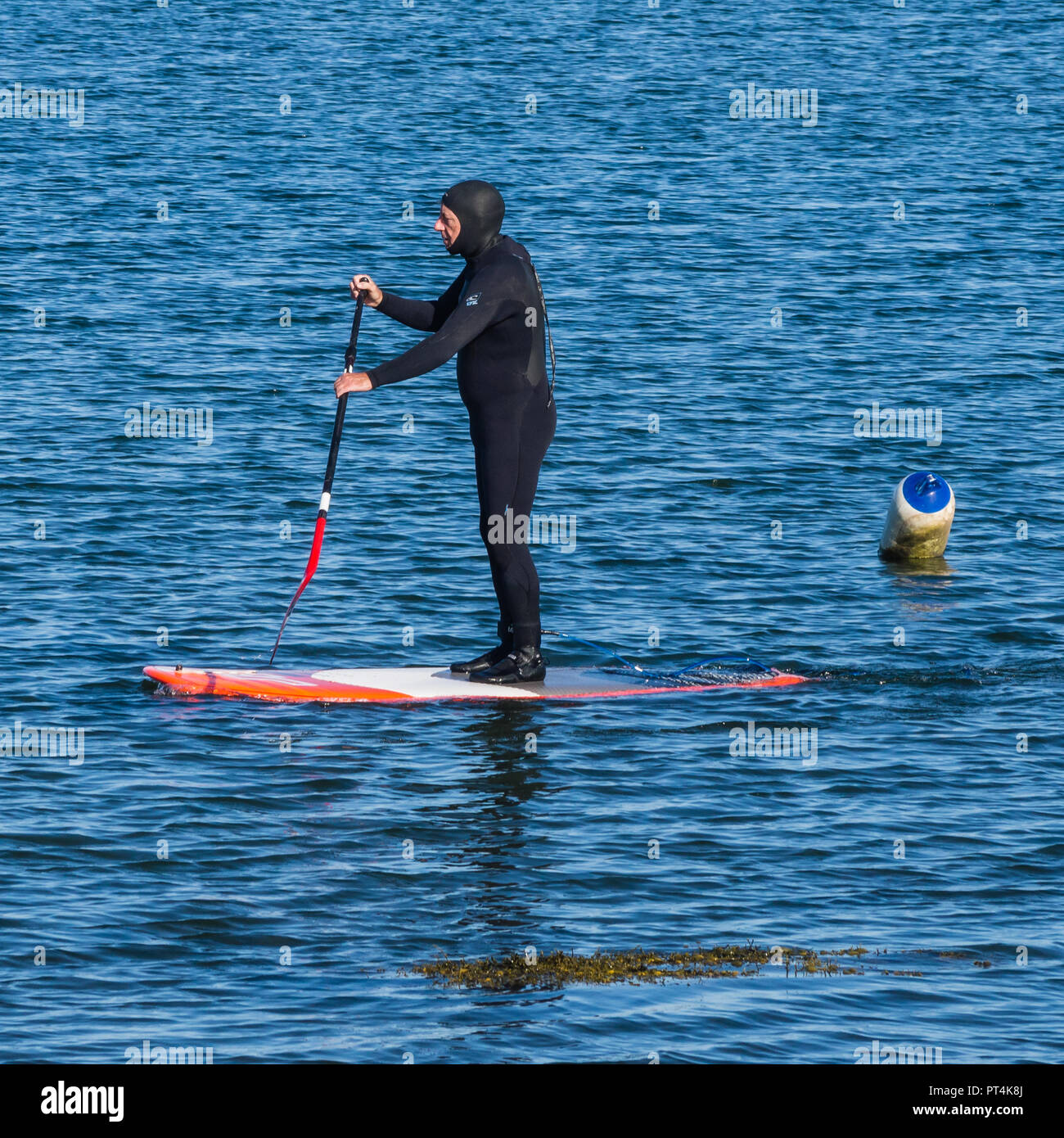 Paddleboarder in Groomsport harbour in Northern Ireland Stock Photo - Alamy