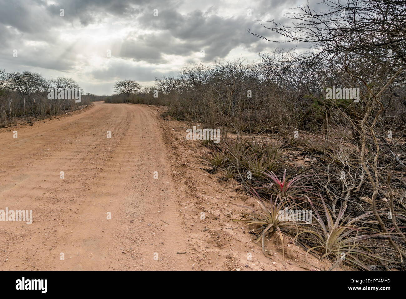Sao miguel map hi-res stock photography and images - Alamy