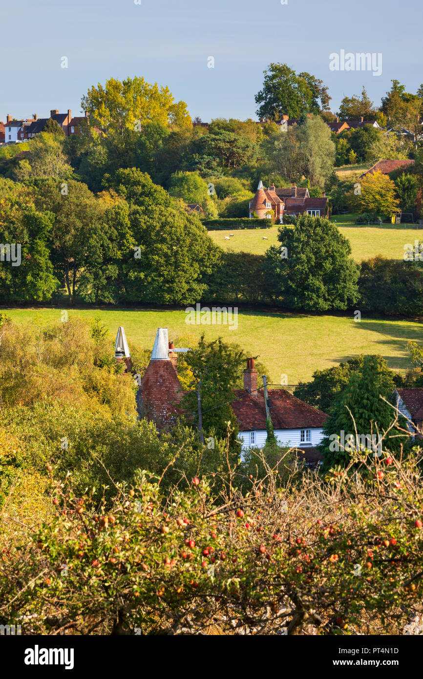 Sussex summer countryside hi-res stock photography and images - Alamy