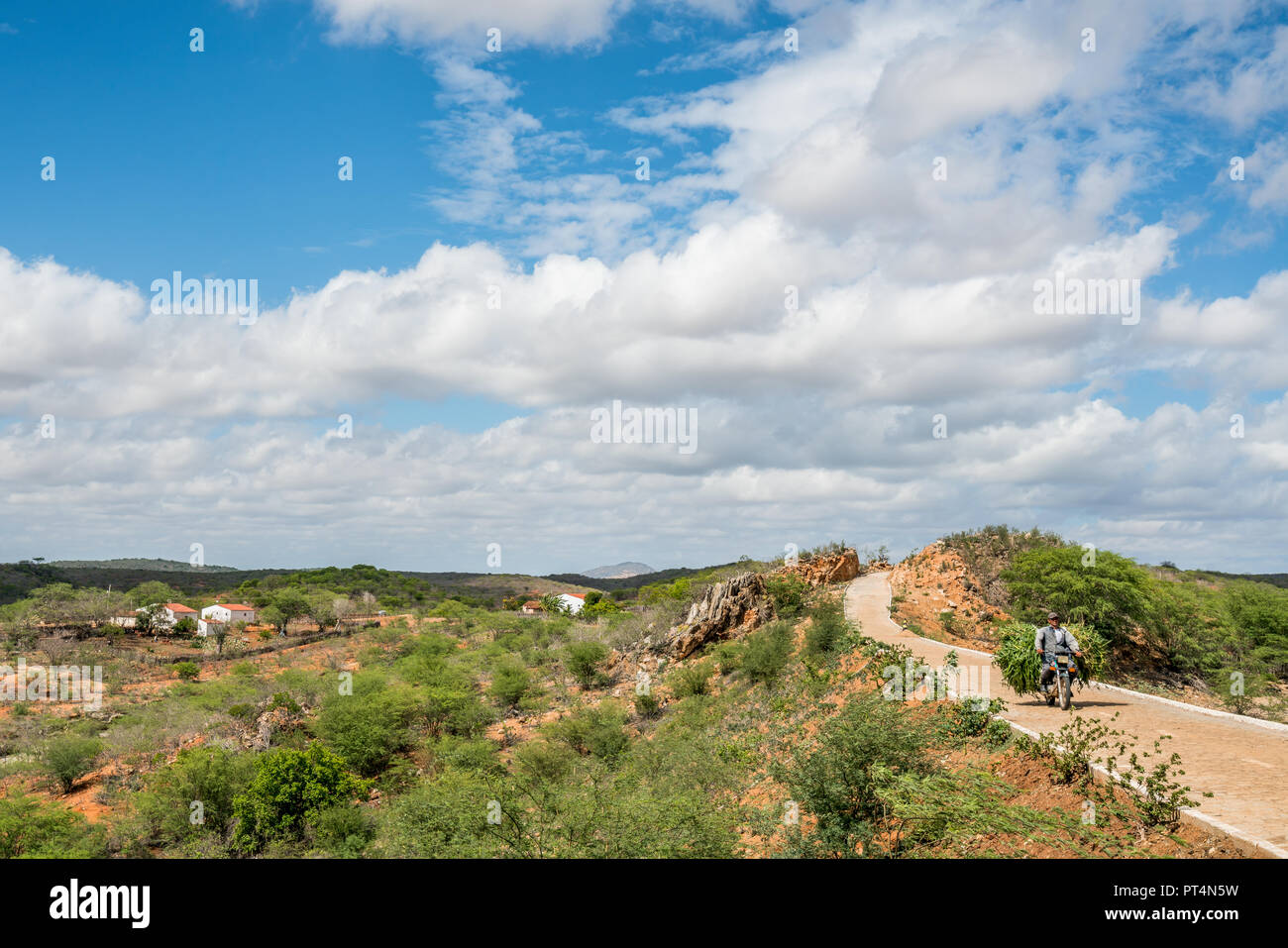 Paraíba landscape hi-res stock photography and images - Alamy