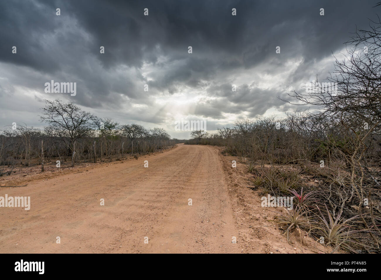 Countryside dry desert road landscape background, with northeast ...