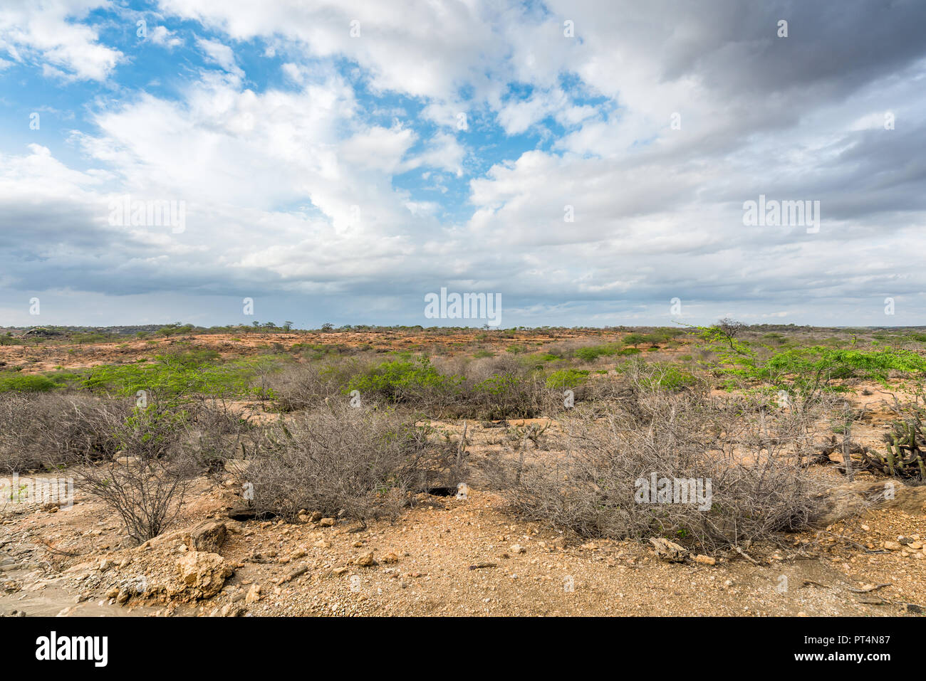 Countryside dry desert road landscape background, with northeast ...