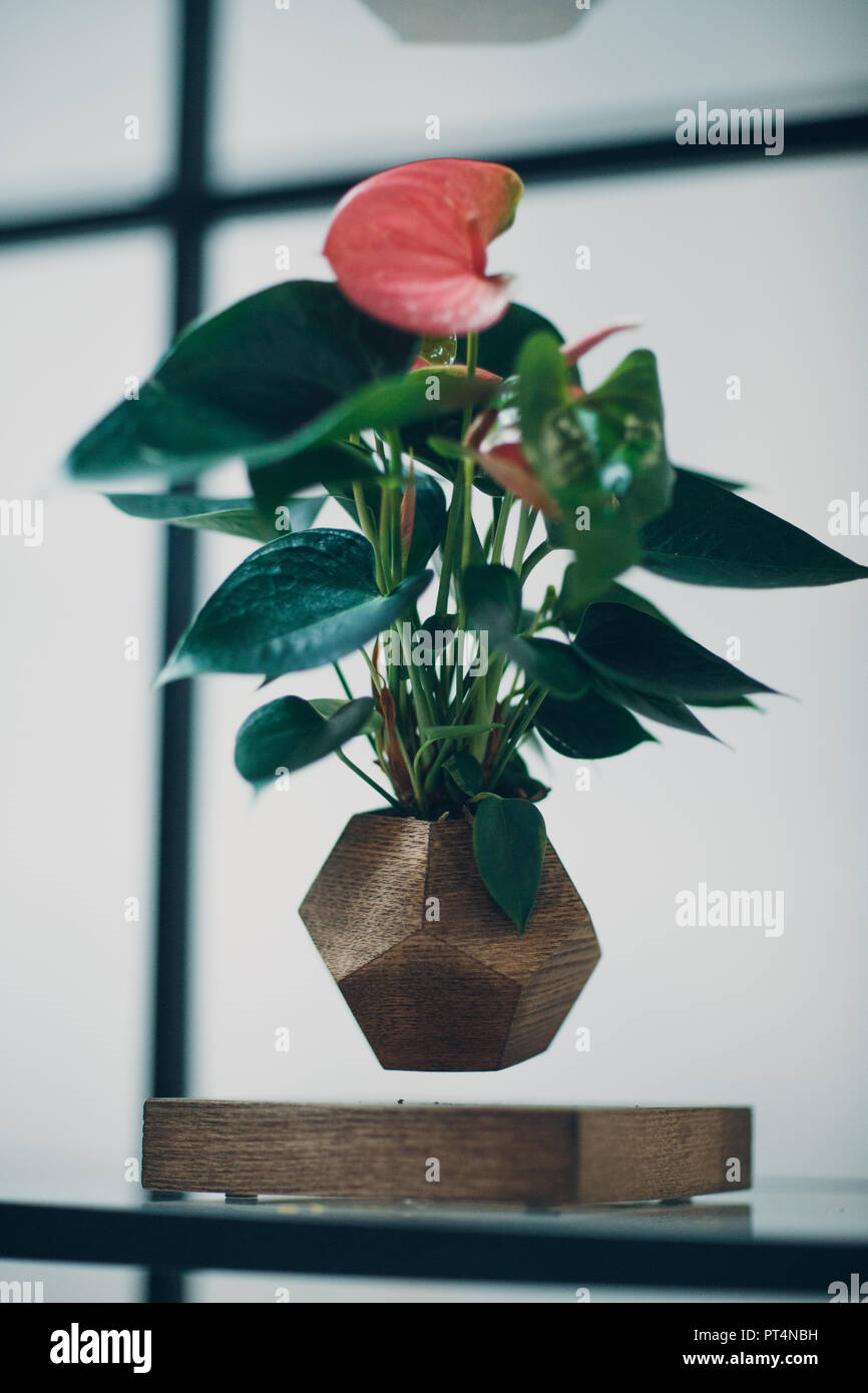 Levitating pot hi-res stock photography and images - Alamy