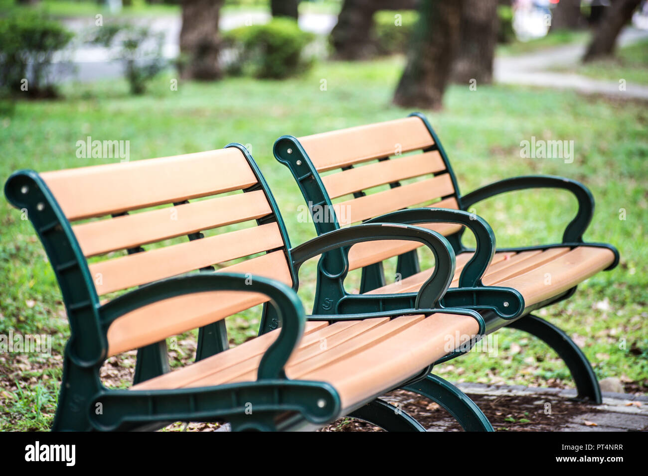 Park, a chair in the park, relaxing, Banyan trees on Dunhua Road ...