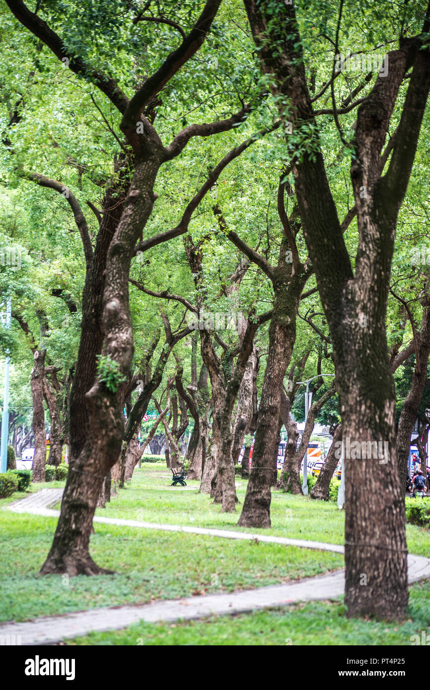 Dunhua taipei hi-res stock photography and images - Alamy