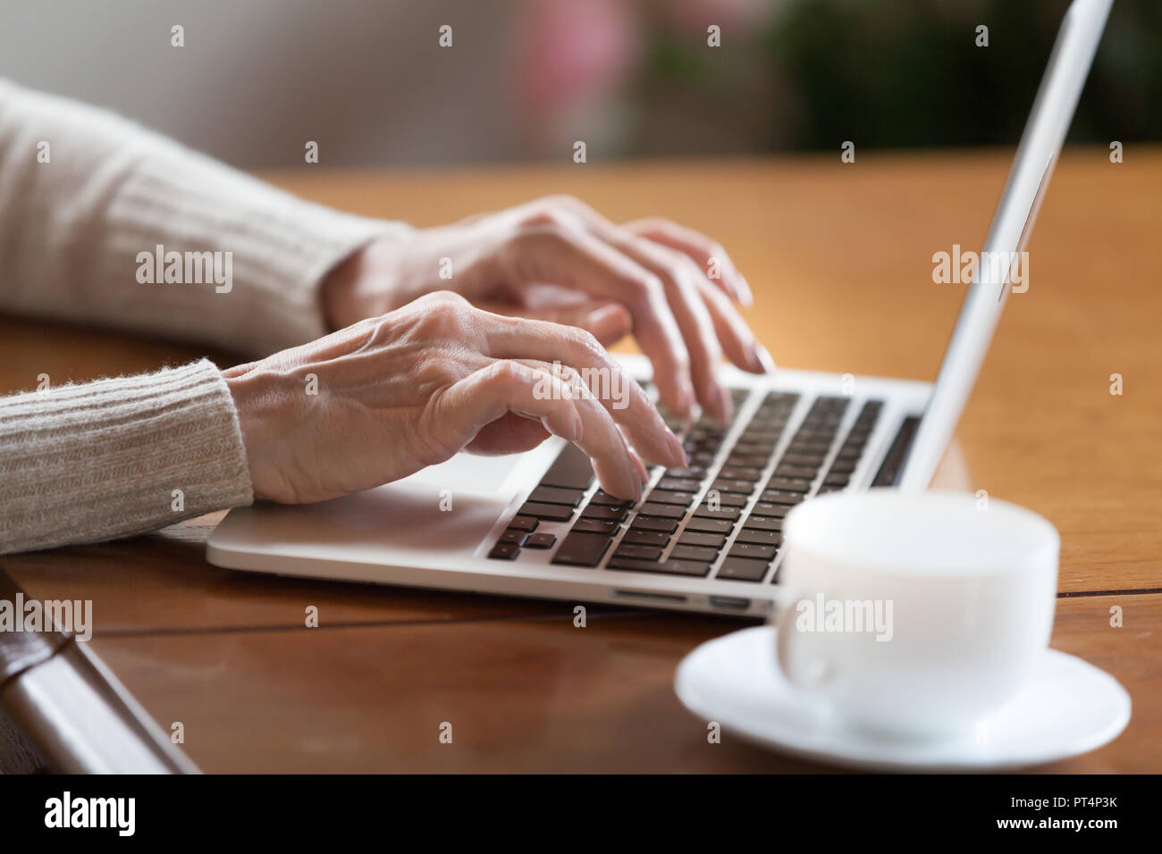 Mature female hands typing text on keyboard, senior elderly business ...