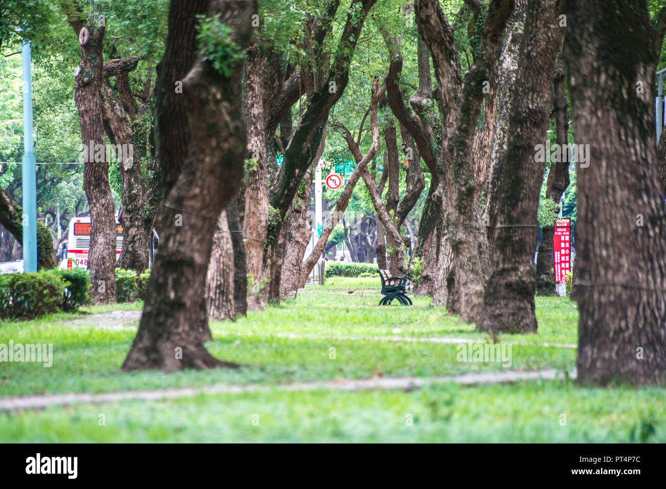 Dunhua, taipei hi-res stock photography and images - Alamy