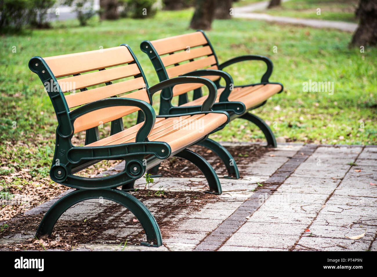 Park, a chair in the park, relaxing, Banyan trees on Dunhua Road ...