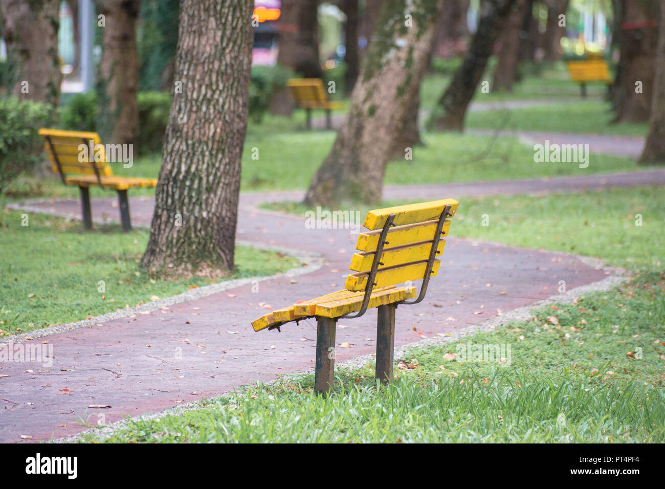 Park, a chair in the park, relaxing, Banyan trees on Dunhua Road ...