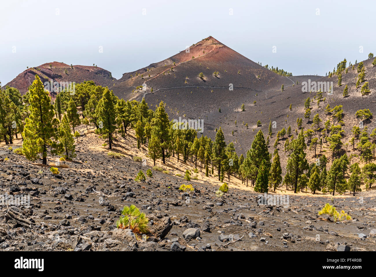 Volcanic landscape along Ruta de los Volcanes, beautiful hiking path ...