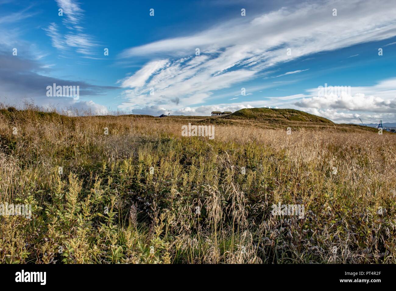 Videy Island - fields and mountains Stock Photo - Alamy