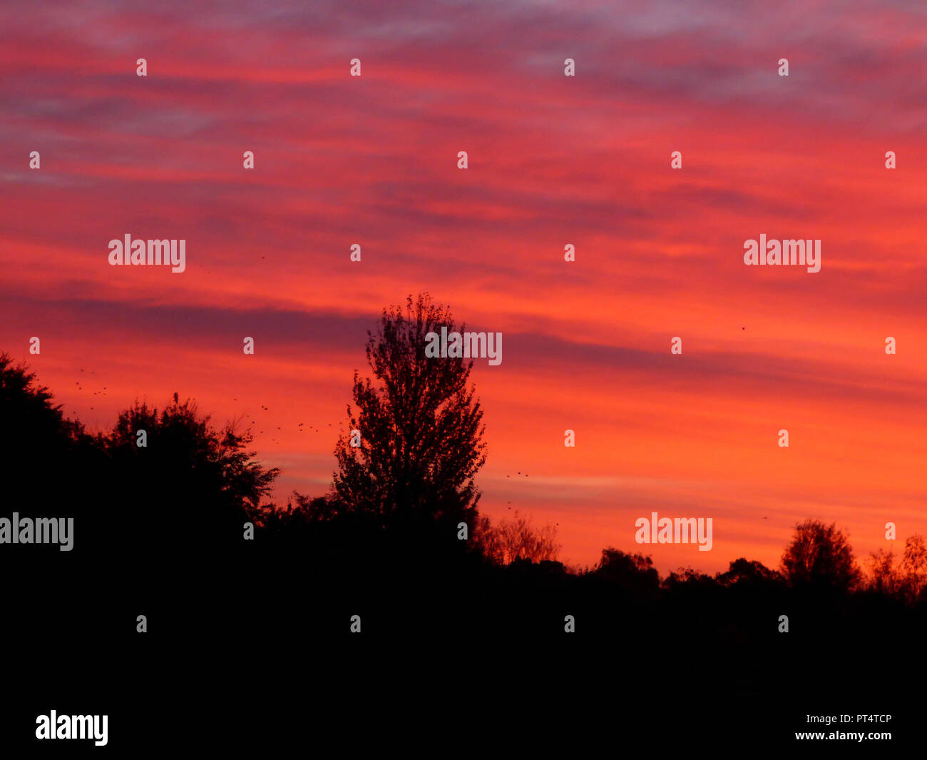 colourful sunrise in Cardiff UK Stock Photo - Alamy
