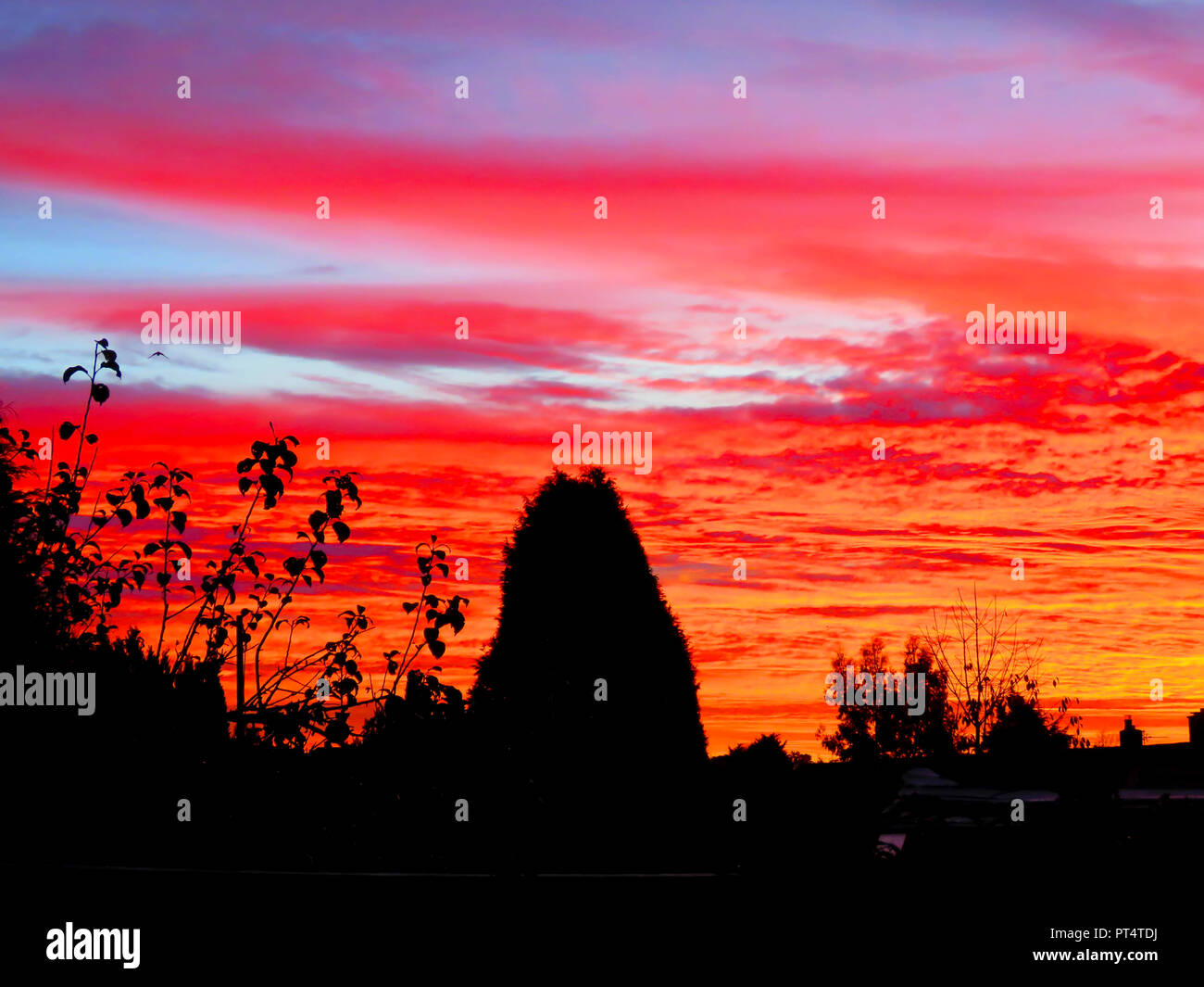 colourful sunrise in Cardiff UK Stock Photo - Alamy