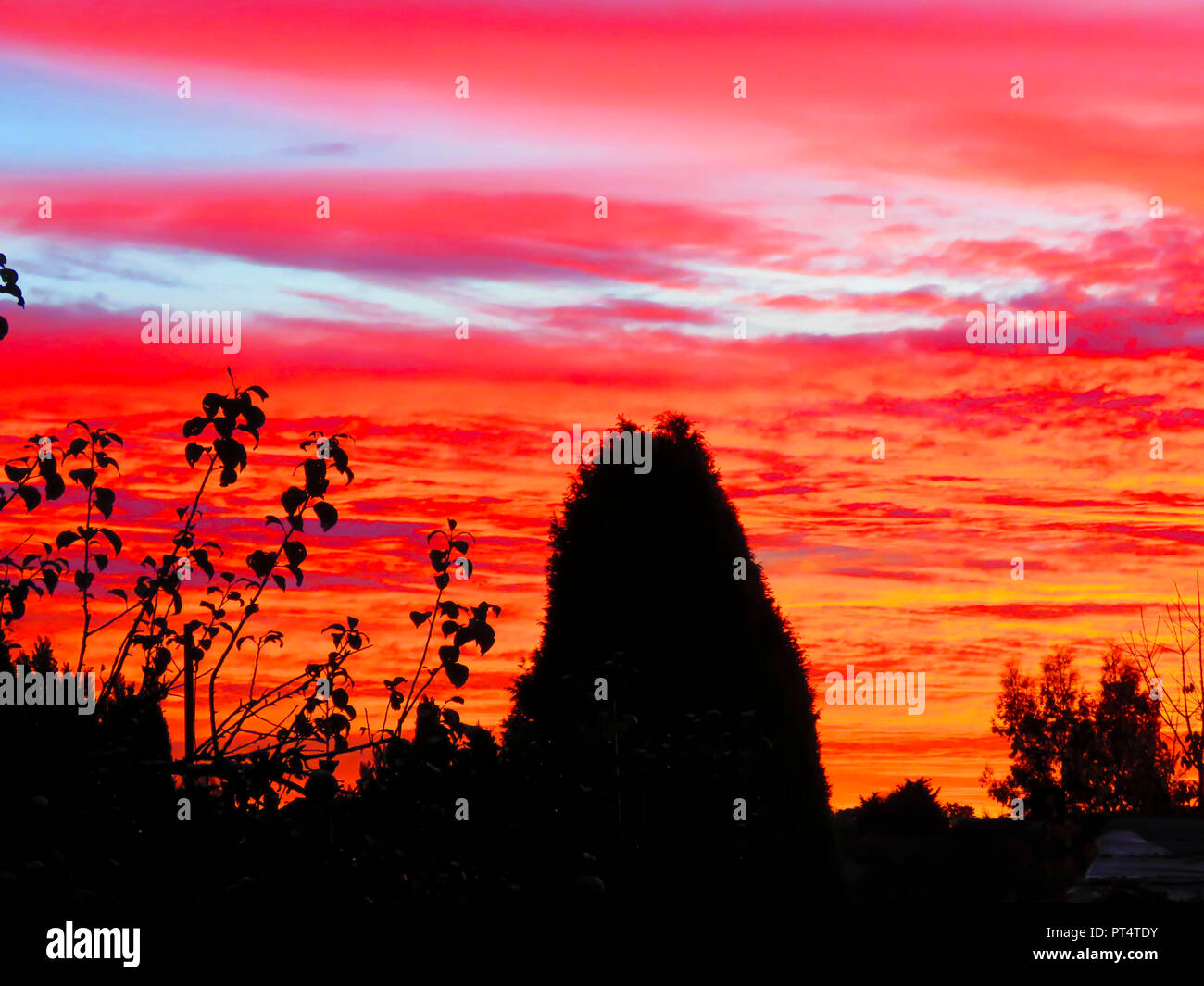 colourful sunrise in Cardiff UK Stock Photo - Alamy