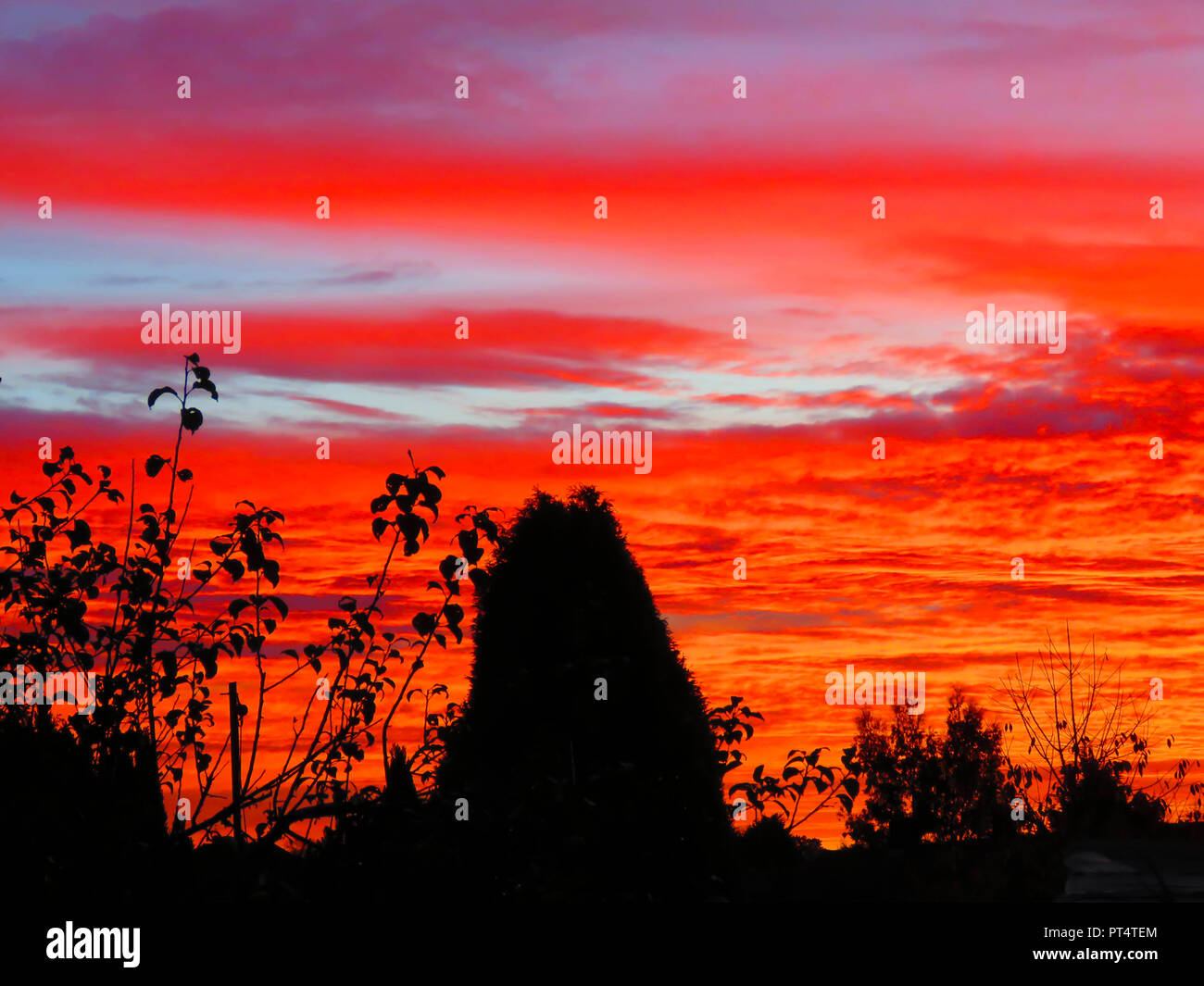 colourful sunrise in Cardiff UK Stock Photo - Alamy