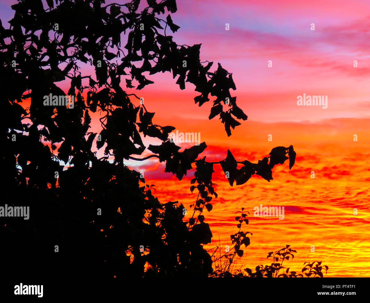 colourful sunrise in Cardiff UK Stock Photo - Alamy