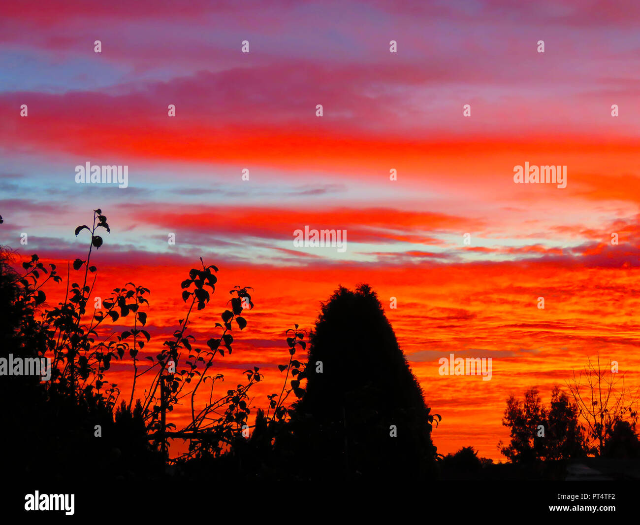 colourful sunrise in Cardiff UK Stock Photo - Alamy