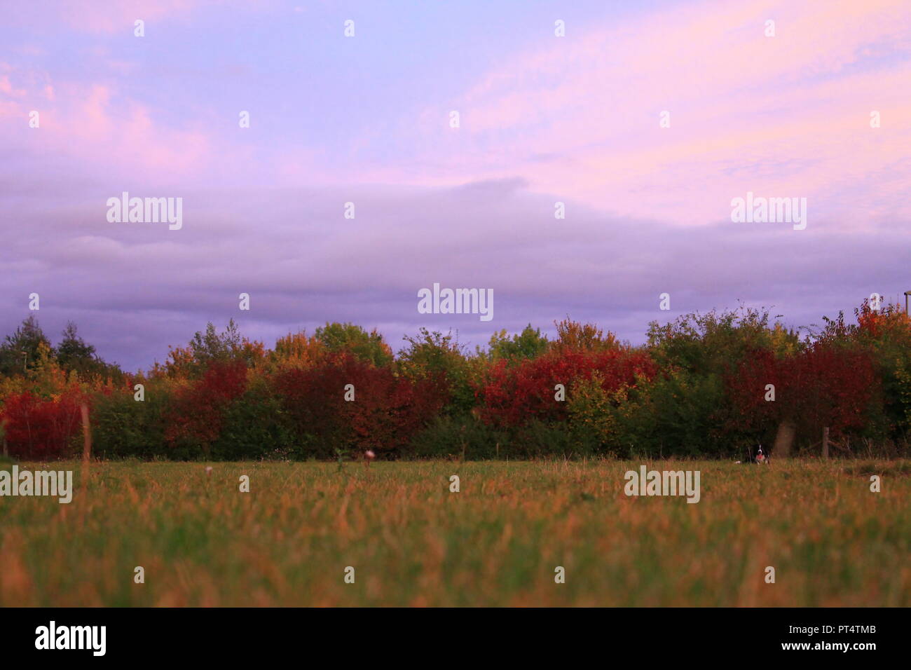 Colors of sunset hi-res stock photography and images - Alamy