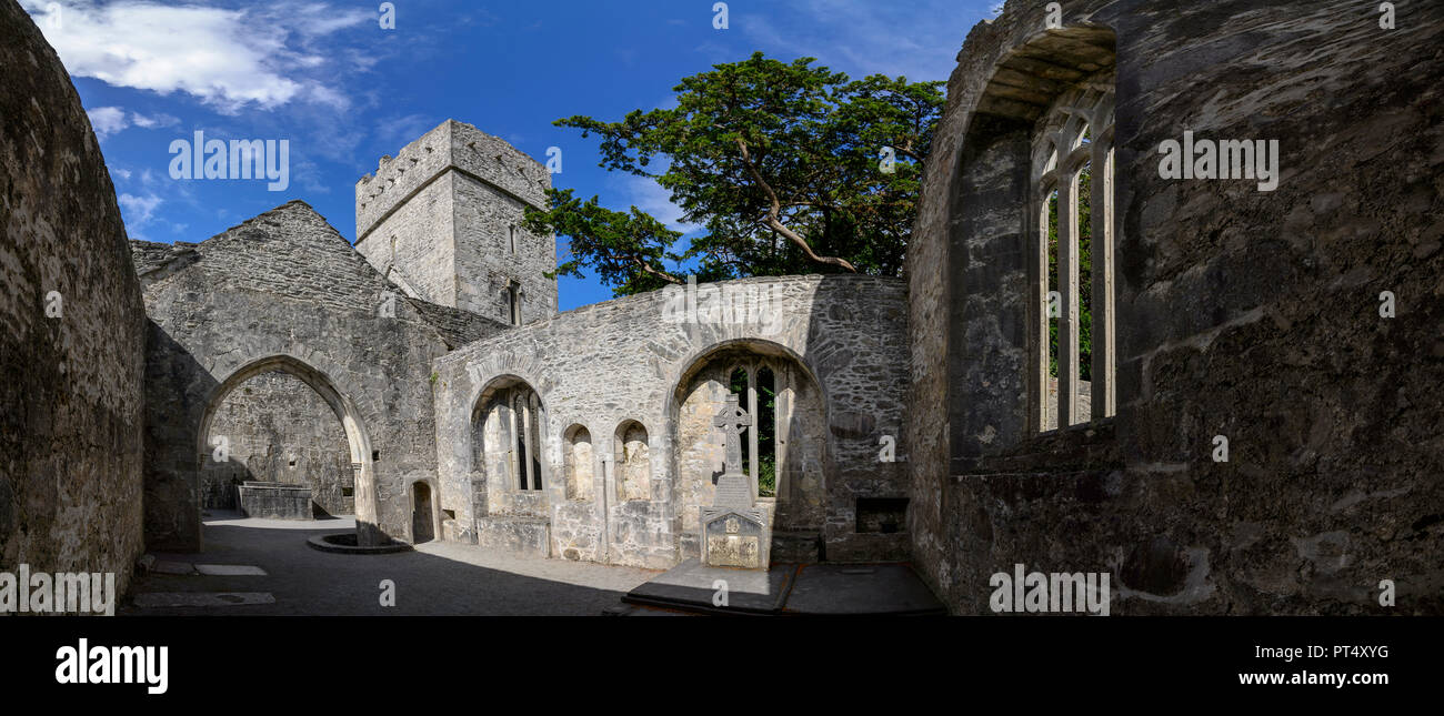 Muckross Abbey, the ruins of an old Irish monastery Stock Photo - Alamy